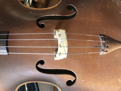 Available Instruments | Fretted Strings
